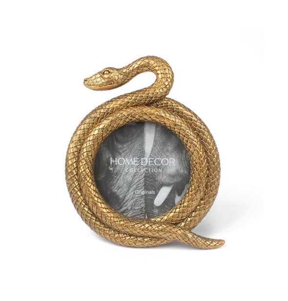 Gold Snake Picture Frame – Love & Hemlock