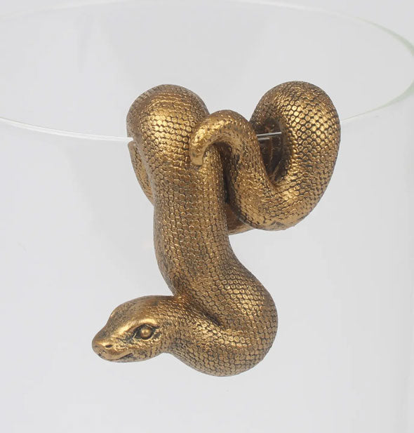 Gold Snake Garden Pot Hanger – Love & Hemlock