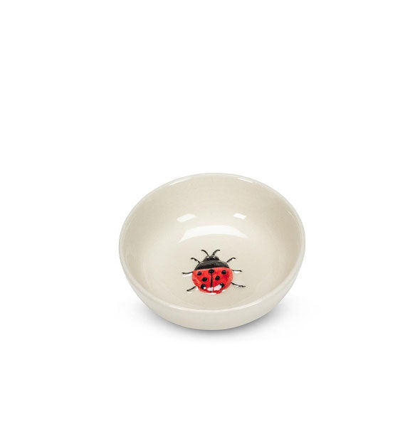 Mini Bowl With Ladybug – Love & Hemlock