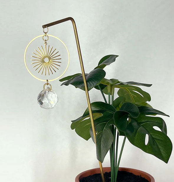 Plant Stick With Suncatcher Crystal: Sunburst – Love & Hemlock